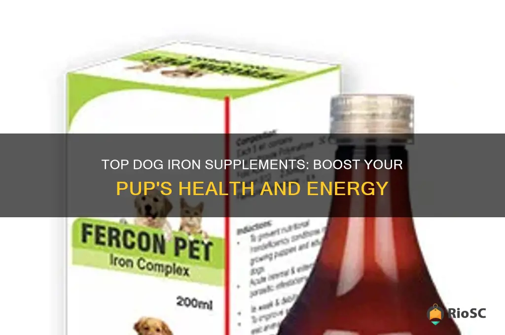 Top Dog Iron Supplements: Boost Your Pup's Health And Energy | Riosc