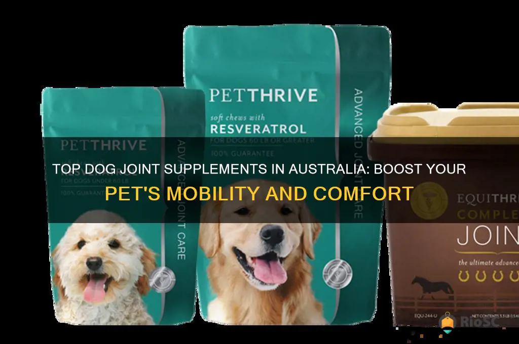 Top Dog Joint Supplements In Australia: Boost Your Pet's Mobility And ...