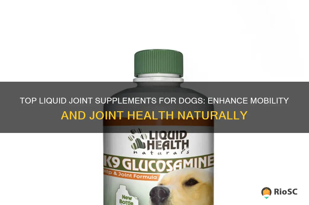 Top Liquid Joint Supplements For Dogs: Enhance Mobility And Joint ...