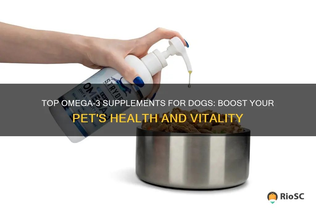 Top Omega-3 Supplements For Dogs: Boost Your Pet's Health And Vitality ...