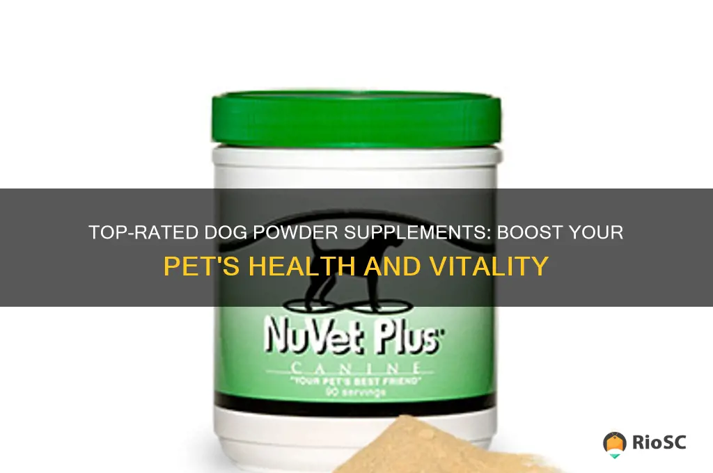 Top-Rated Dog Powder Supplements: Boost Your Pet's Health And Vitality ...