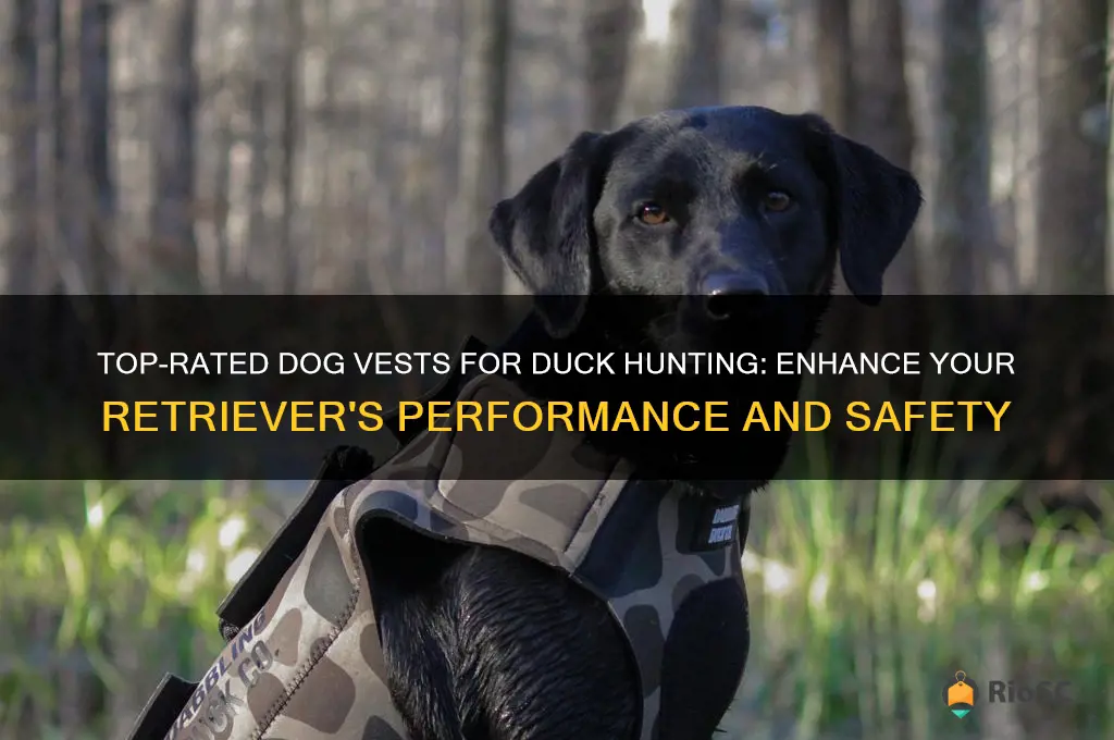 Top-Rated Dog Vests For Duck Hunting: Enhance Your Retriever's ...