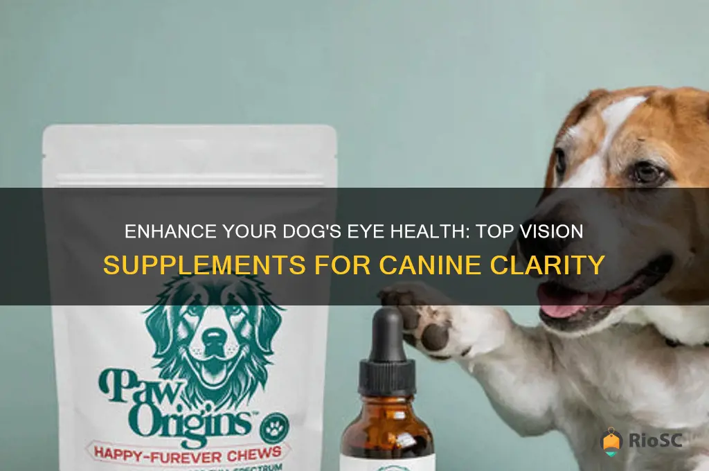Enhance Your Dog's Eye Health: Top Vision Supplements For Canine ...
