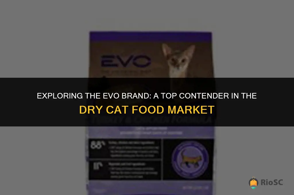 Exploring The Evo Brand: A Top Contender In The Dry Cat Food Market | Riosc
