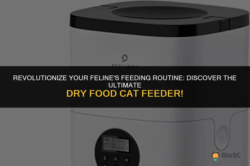 Revolutionize Your Feline's Feeding Routine: Discover The Ultimate Dry ...