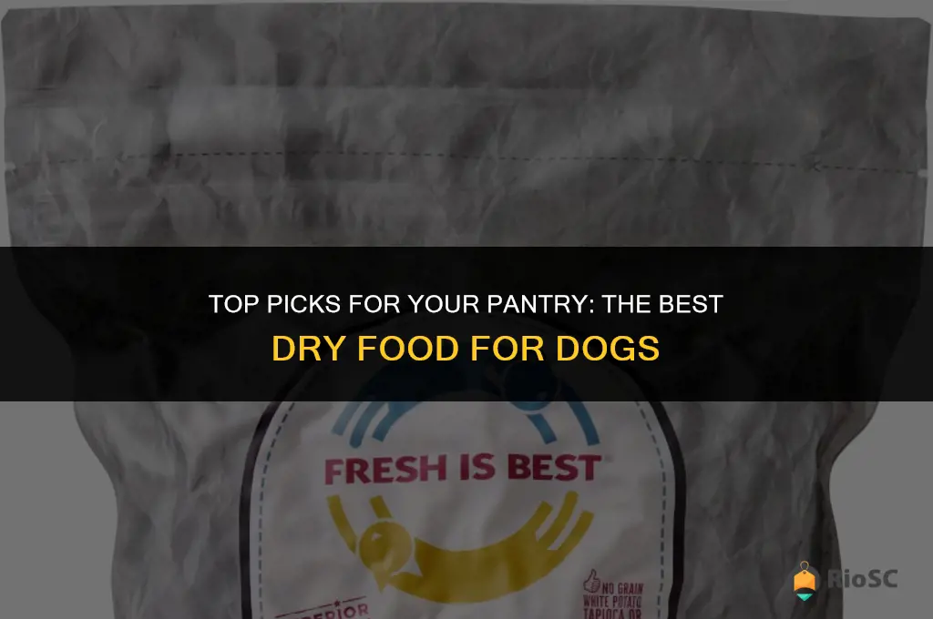 Top Picks For Your Pantry: The Best Dry Food For Dogs | Riosc