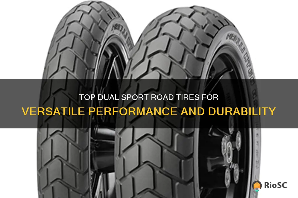 Top Dual Sport Road Tires For Versatile Performance And Durability | Riosc