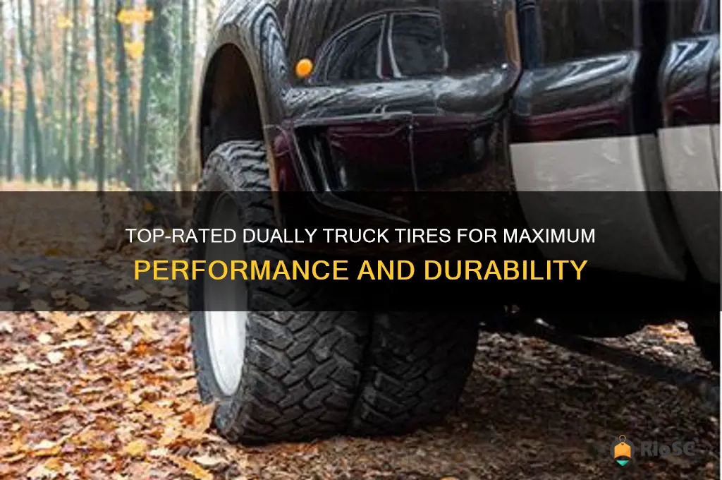 Top-Rated Dually Truck Tires For Maximum Performance And Durability | Riosc