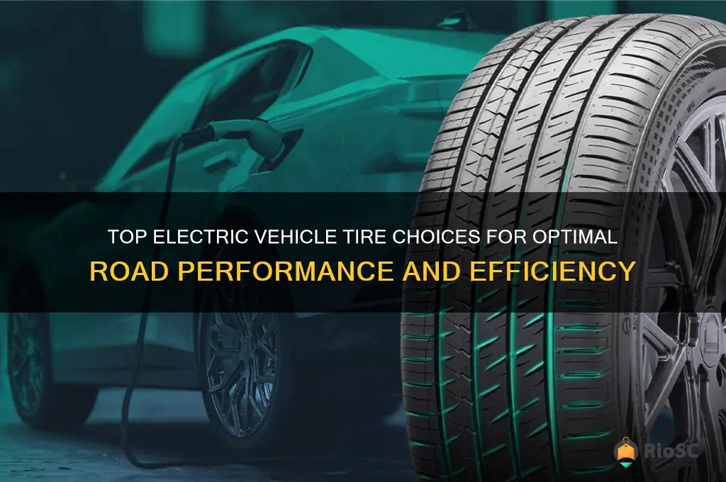 Top Electric Vehicle Tire Choices For Optimal Road Performance And ...