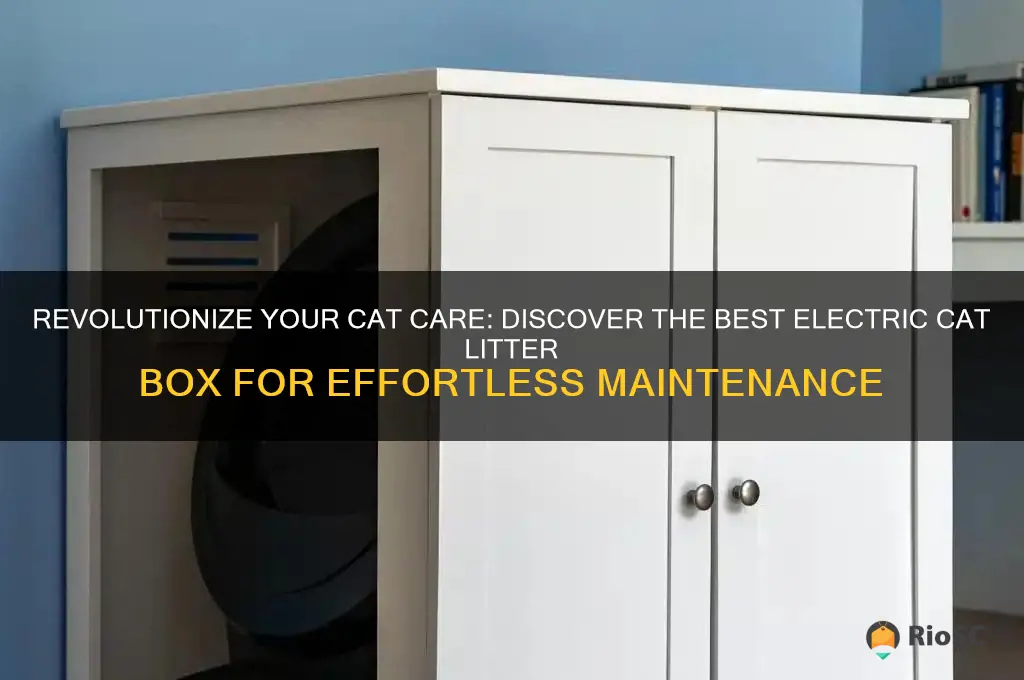 Revolutionize Your Cat Care: Discover The Best Electric Cat Litter Box ...