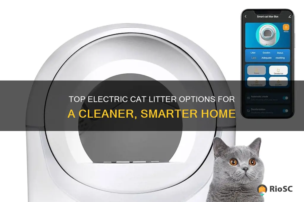 Top Electric Cat Litter Options For A Cleaner, Smarter Home | Riosc