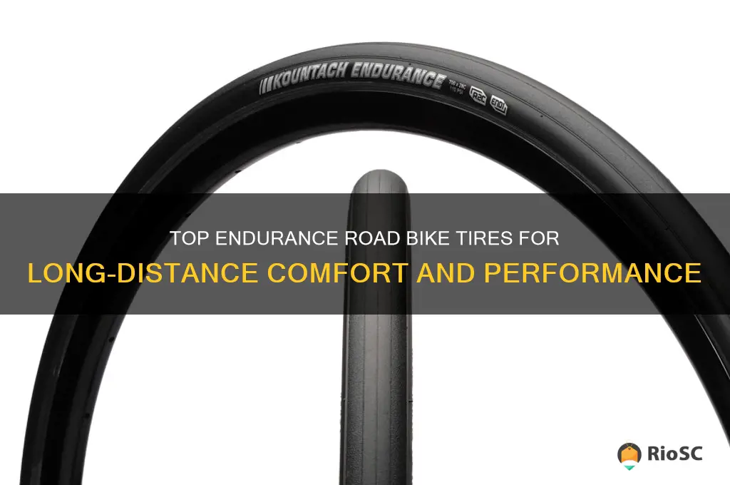 Top Endurance Road Bike Tires For Long-Distance Comfort And Performance ...