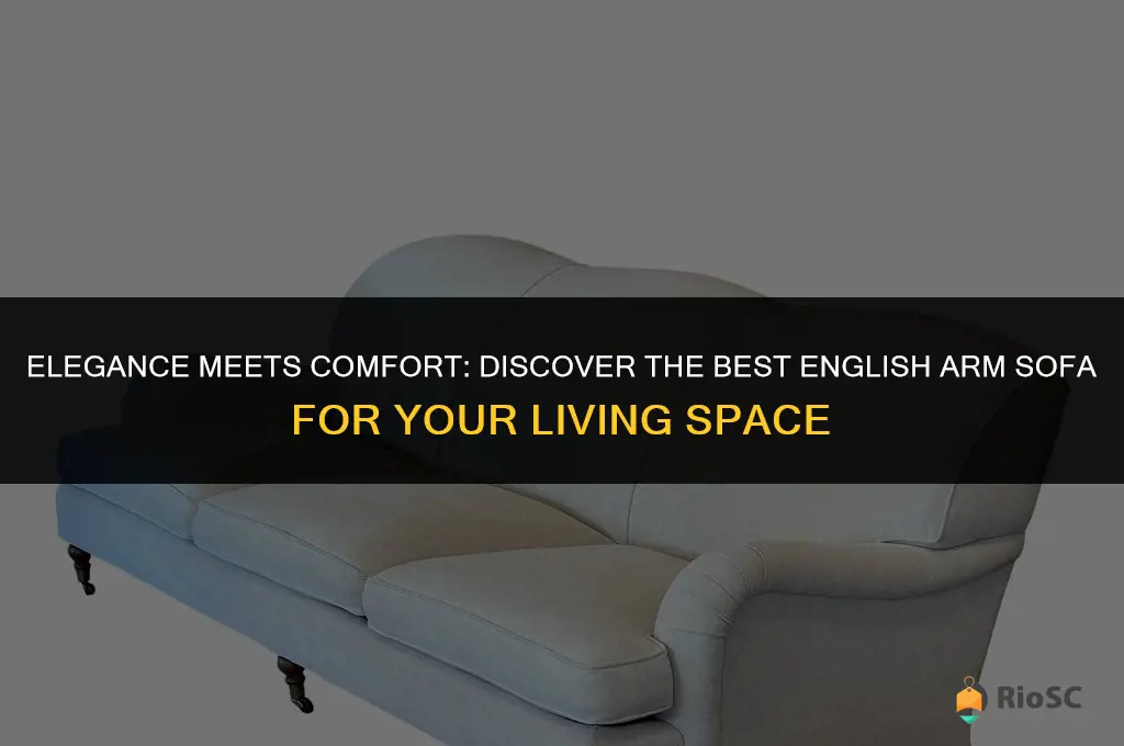 Elegance Meets Comfort: Discover The Best English Arm Sofa For Your ...