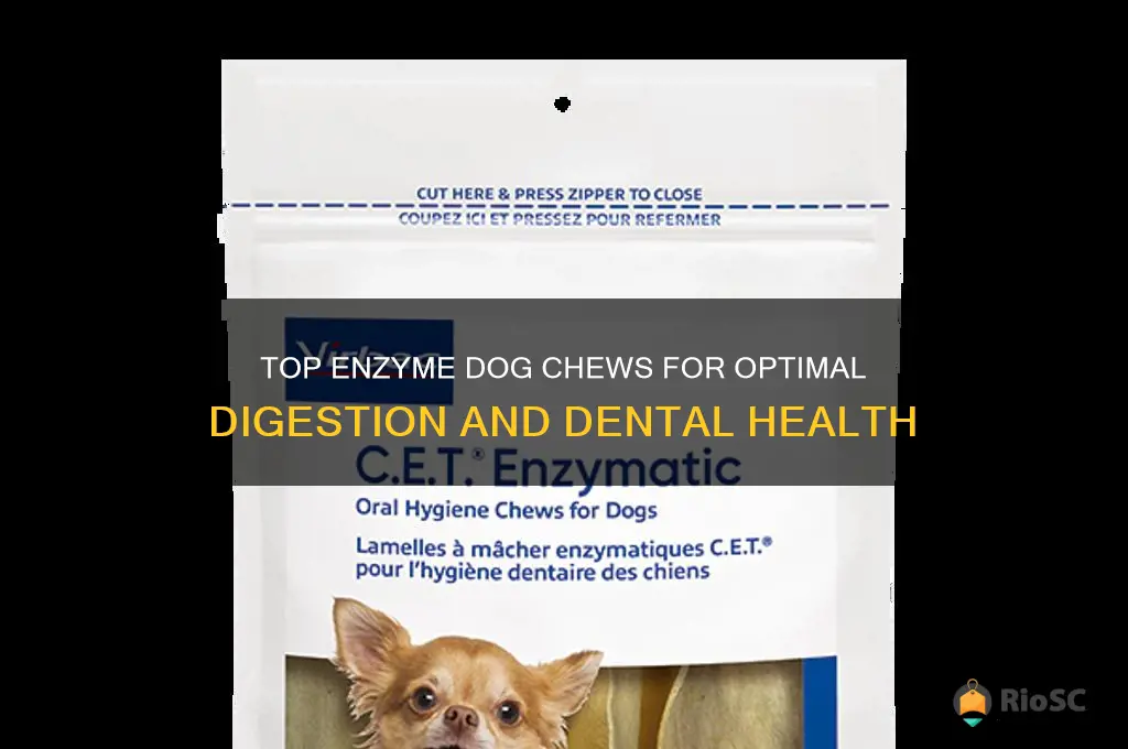 Top Enzyme Dog Chews For Optimal Digestion And Dental Health | Riosc