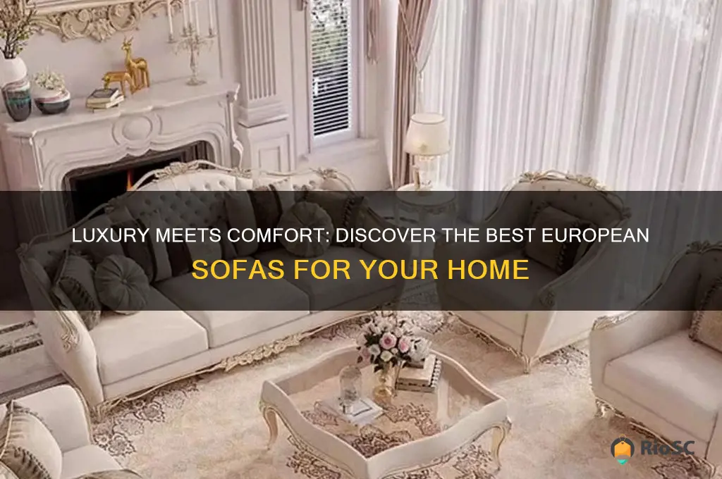 Luxury Meets Comfort: Discover The Best European Sofas For Your Home ...