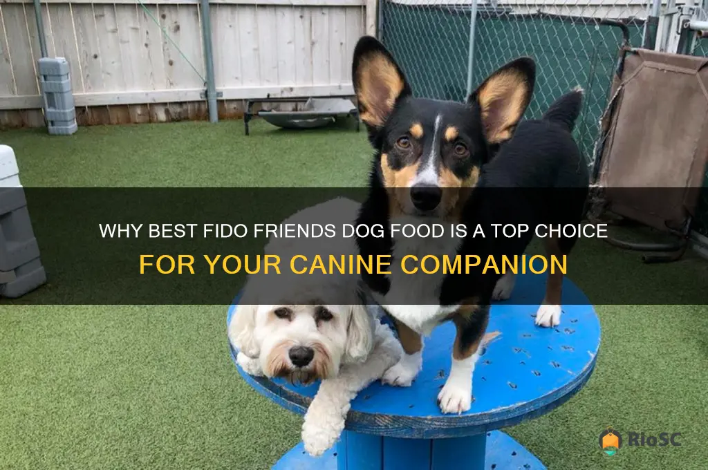 Why Best Fido Friends Dog Food Is A Top Choice For Your Canine ...