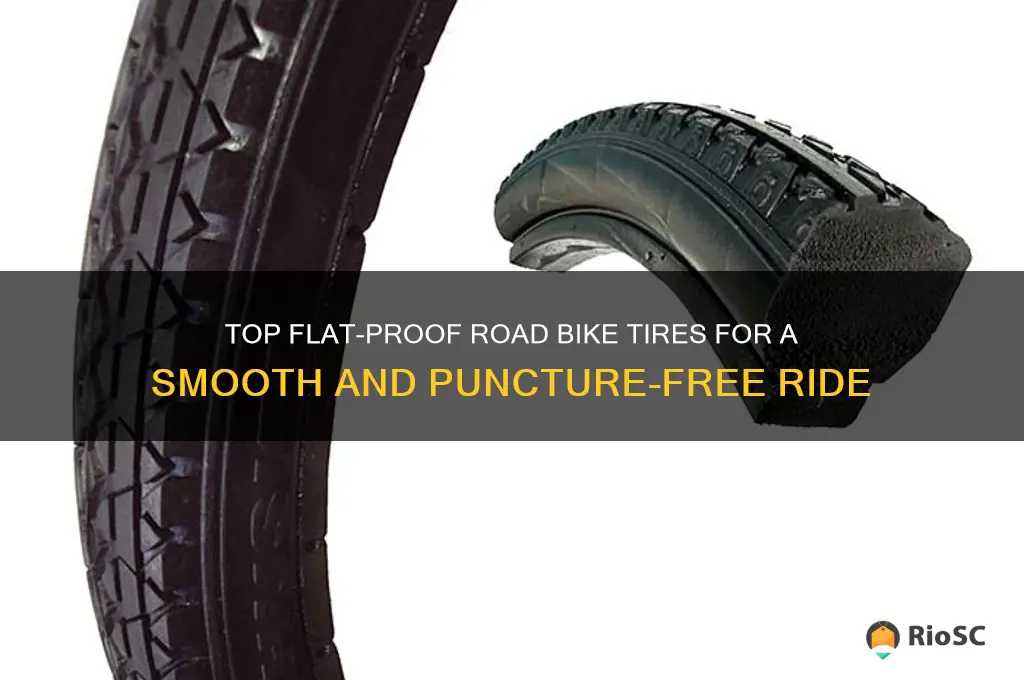 Top Flat-Proof Road Bike Tires For A Smooth And Puncture-Free Ride | Riosc