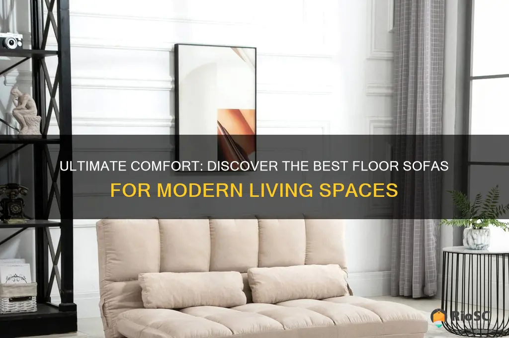 Ultimate Comfort: Discover The Best Floor Sofas For Modern Living ...