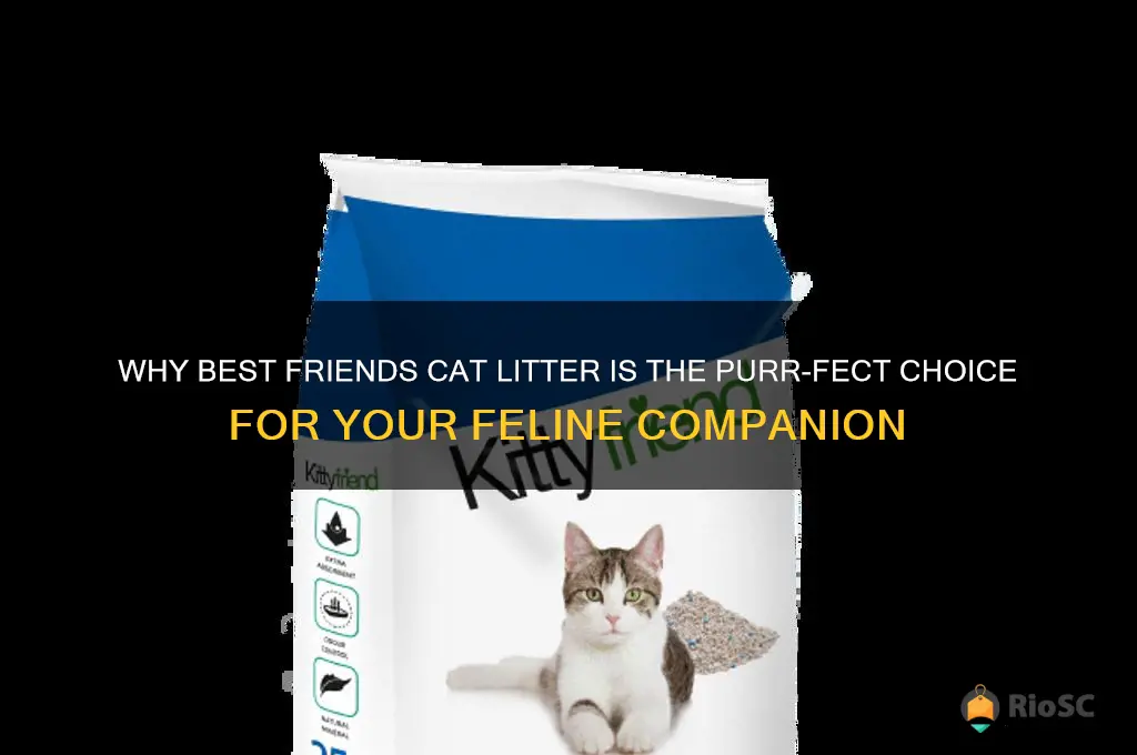 Why Best Friends Cat Litter Is The Purr-Fect Choice For Your Feline ...