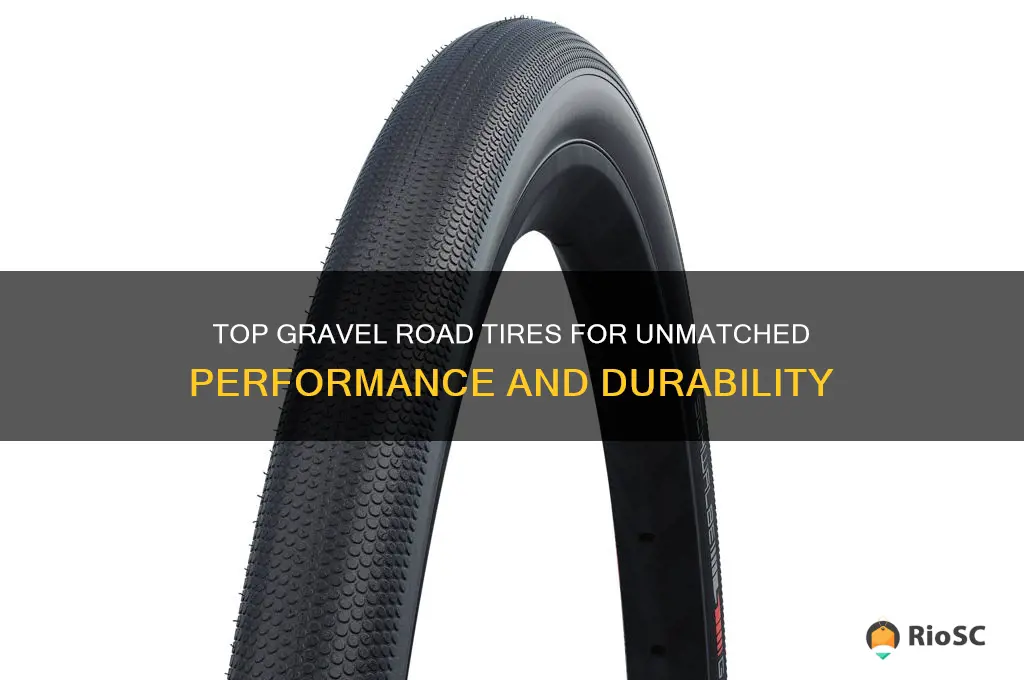 Top Gravel Road Tires For Unmatched Performance And Durability | Riosc