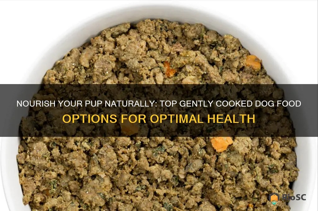 Nourish Your Pup Naturally: Top Gently Cooked Dog Food Options For ...