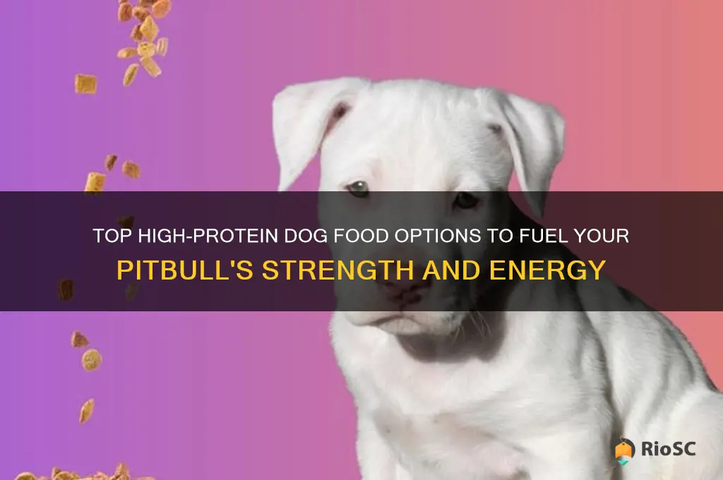 Top High-Protein Dog Food Options To Fuel Your Pitbull's Strength And ...