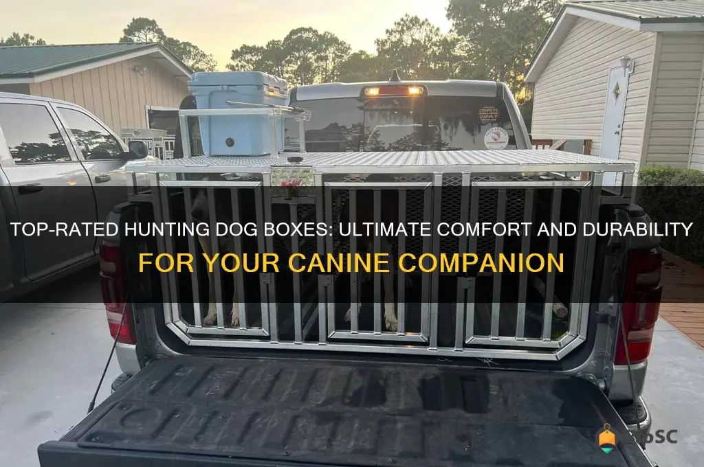 Top-Rated Hunting Dog Boxes: Ultimate Comfort And Durability For Your ...
