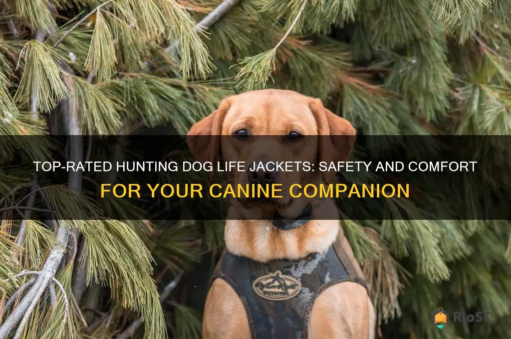Top-Rated Hunting Dog Life Jackets: Safety And Comfort For Your Canine ...