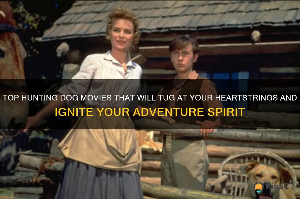 Top Hunting Dog Movies That Will Tug At Your Heartstrings And Ignite ...