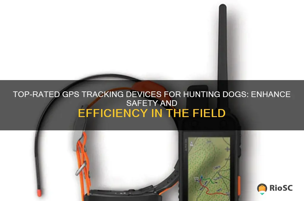Top-Rated Gps Tracking Devices For Hunting Dogs: Enhance Safety And ...