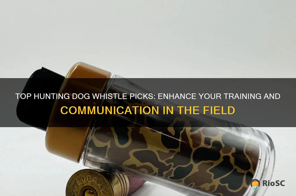 Top Hunting Dog Whistle Picks: Enhance Your Training And Communication ...