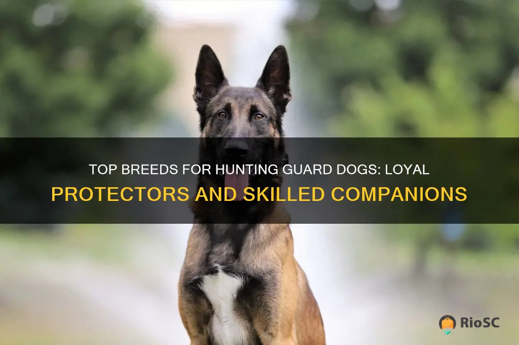 Top Breeds For Hunting Guard Dogs: Loyal Protectors And Skilled ...