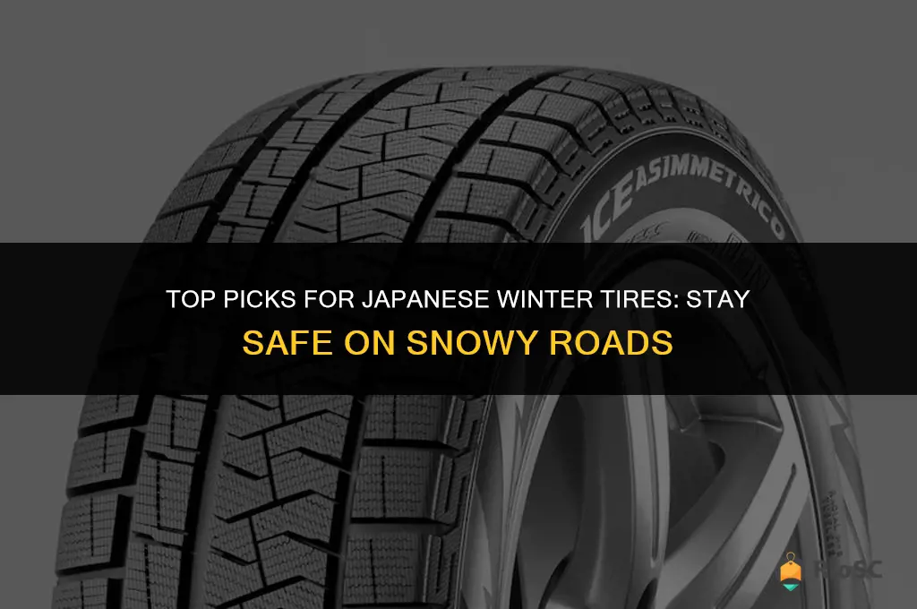 Top Picks For Japanese Winter Tires: Stay Safe On Snowy Roads | Riosc