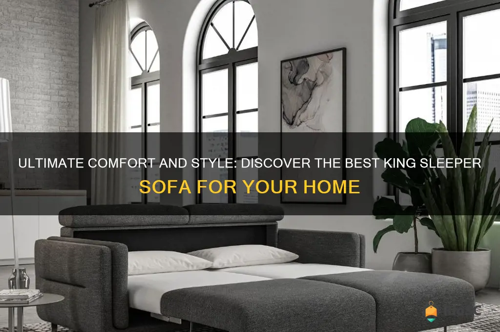 Ultimate Comfort And Style: Discover The Best King Sleeper Sofa For ...