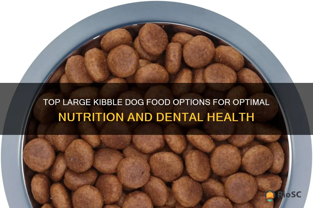 Top Large Kibble Dog Food Options For Optimal Nutrition And Dental ...