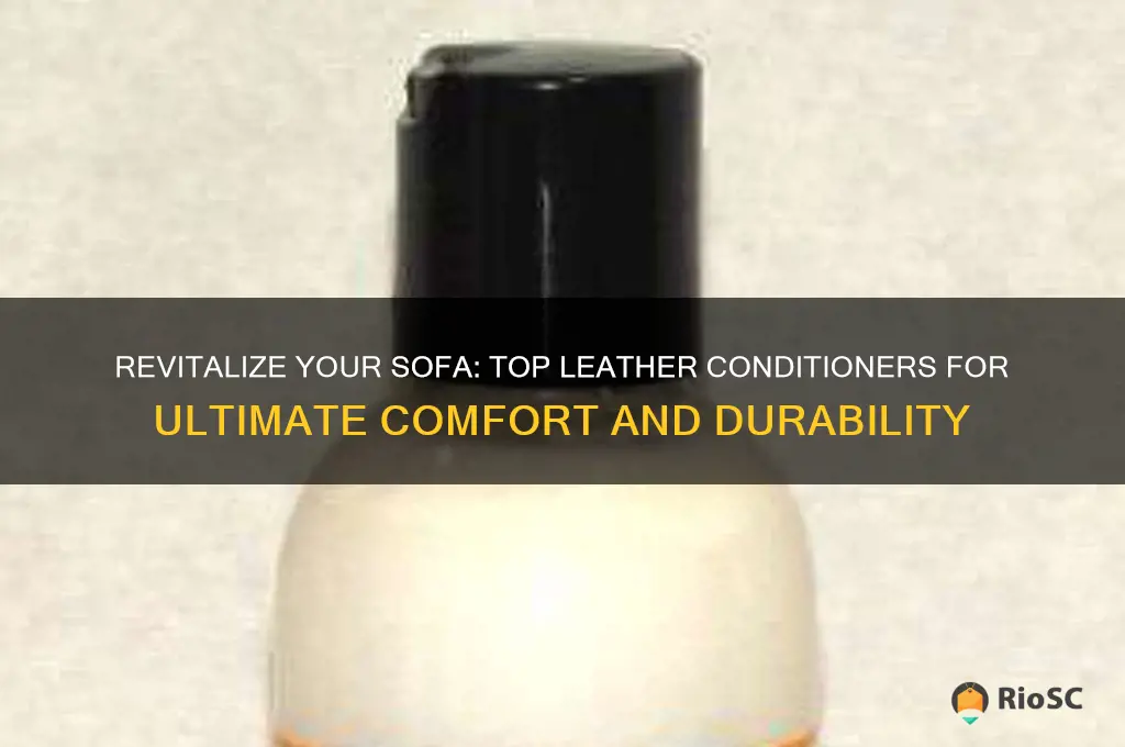 Revitalize Your Sofa: Top Leather Conditioners For Ultimate Comfort And ...