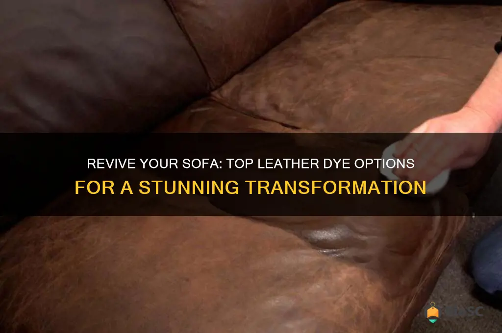 Revive Your Sofa: Top Leather Dye Options For A Stunning Transformation ...
