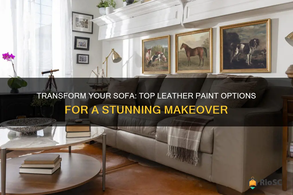 Transform Your Sofa: Top Leather Paint Options For A Stunning Makeover ...