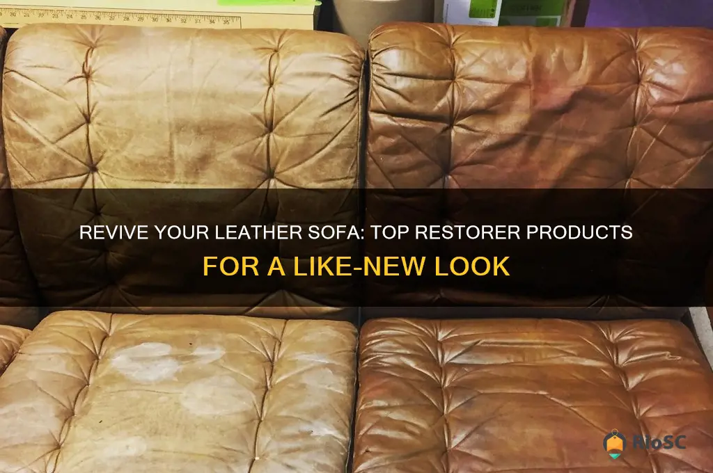 Revive Your Leather Sofa: Top Restorer Products For A Like-New Look | Riosc