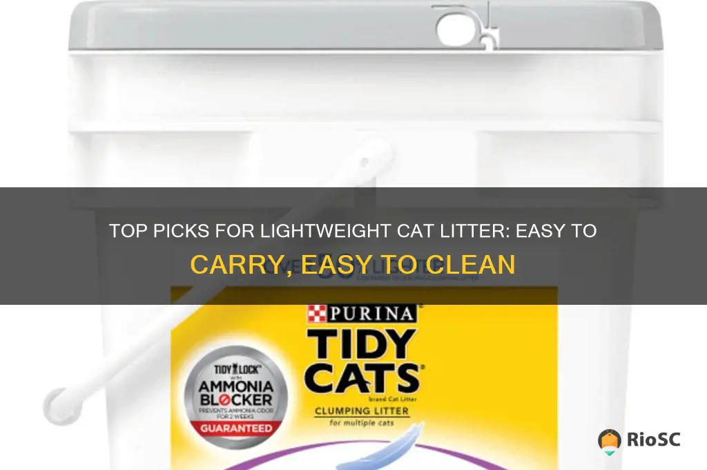 Top Picks For Lightweight Cat Litter: Easy To Carry, Easy To Clean | Riosc