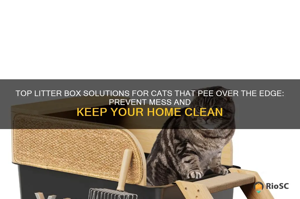 Top Litter Box Solutions For Cats That Pee Over The Edge: Prevent Mess ...