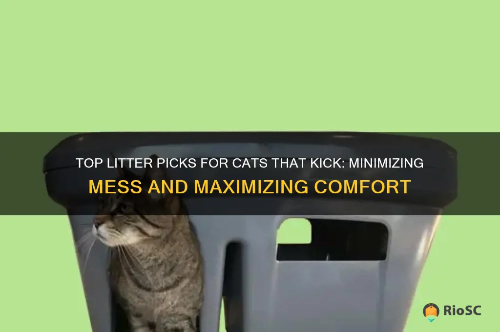 Top Litter Picks For Cats That Kick: Minimizing Mess And Maximizing ...