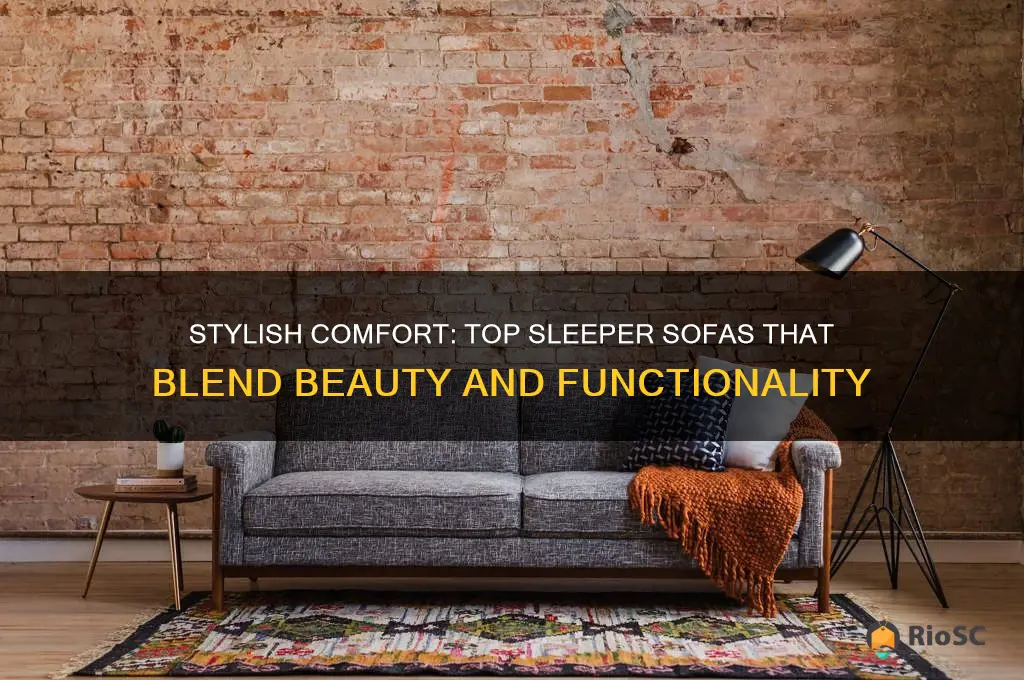 Stylish Comfort: Top Sleeper Sofas That Blend Beauty And Functionality ...