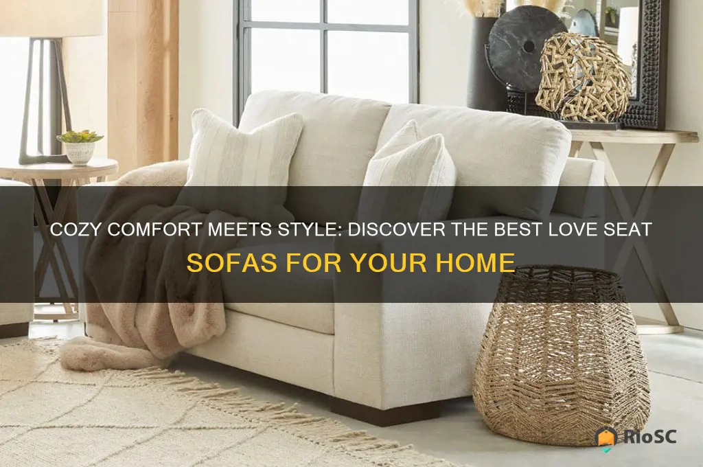 Cozy Comfort Meets Style: Discover The Best Love Seat Sofas For Your ...