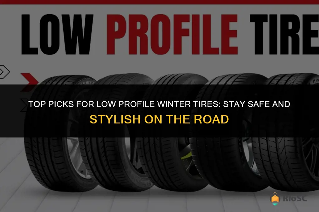 Top Picks For Low Profile Winter Tires: Stay Safe And Stylish On The ...
