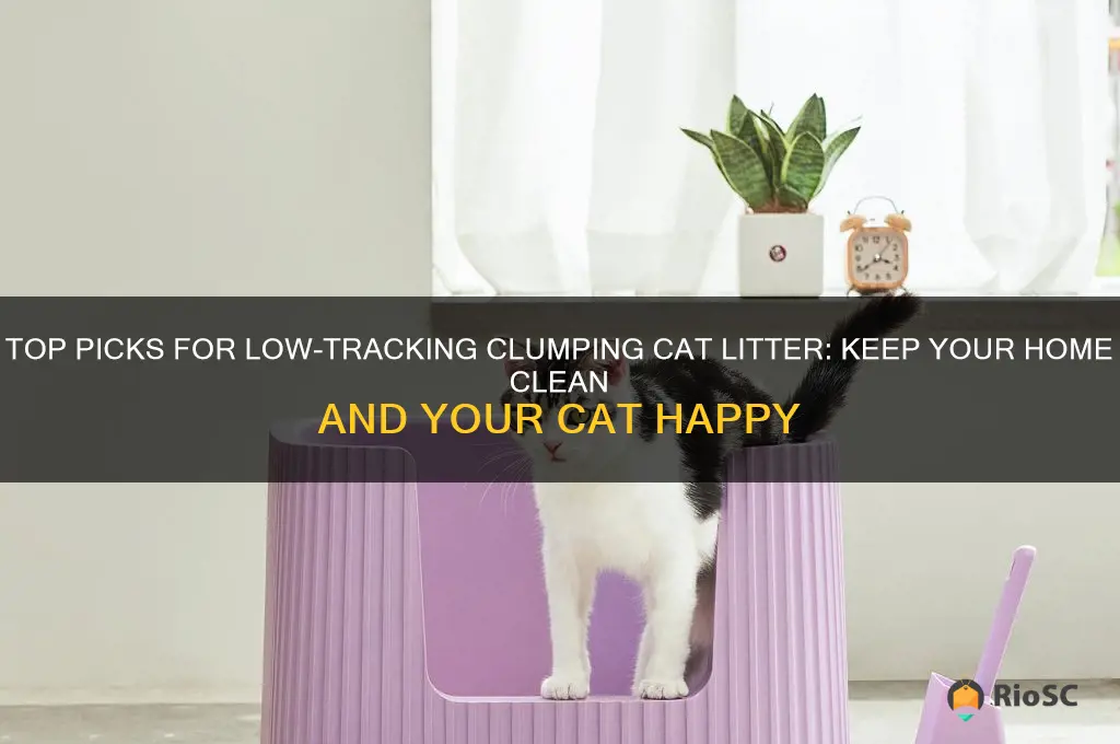 Top Picks For Low-Tracking Clumping Cat Litter: Keep Your Home Clean ...