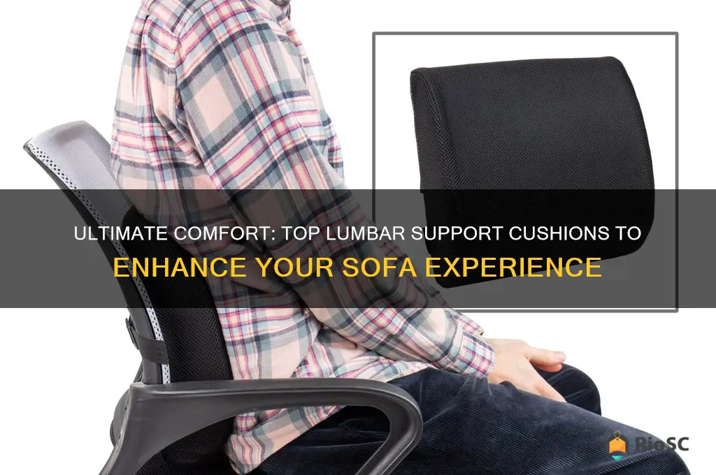 Ultimate Comfort: Top Lumbar Support Cushions To Enhance Your Sofa ...