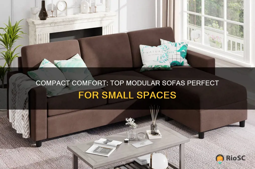 Compact Comfort: Top Modular Sofas Perfect For Small Spaces | Riosc