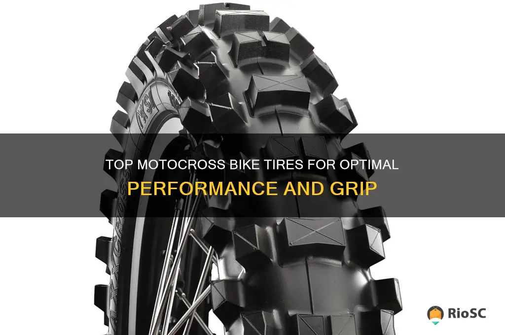 Top Motocross Bike Tires For Optimal Performance And Grip | Riosc