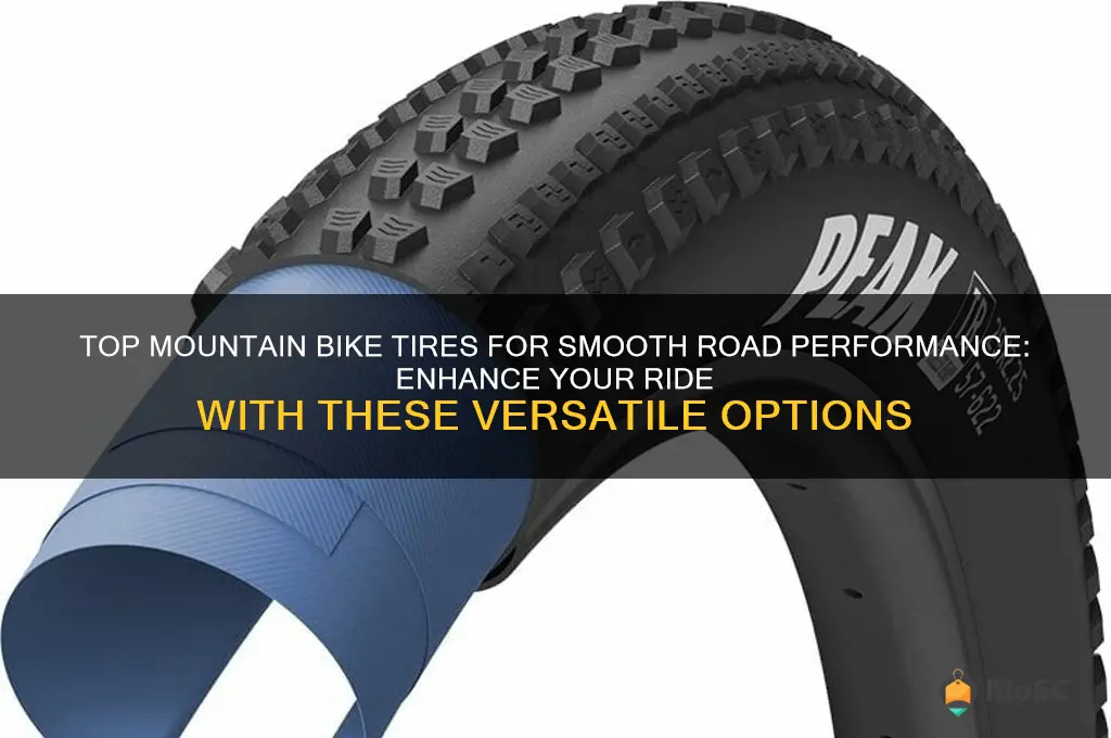 Top Mountain Bike Tires For Smooth Road Performance: Enhance Your Ride ...